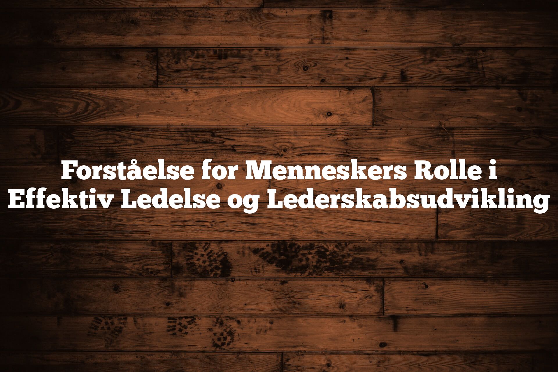 Forståelse for Menneskers Rolle i Effektiv Ledelse og ...